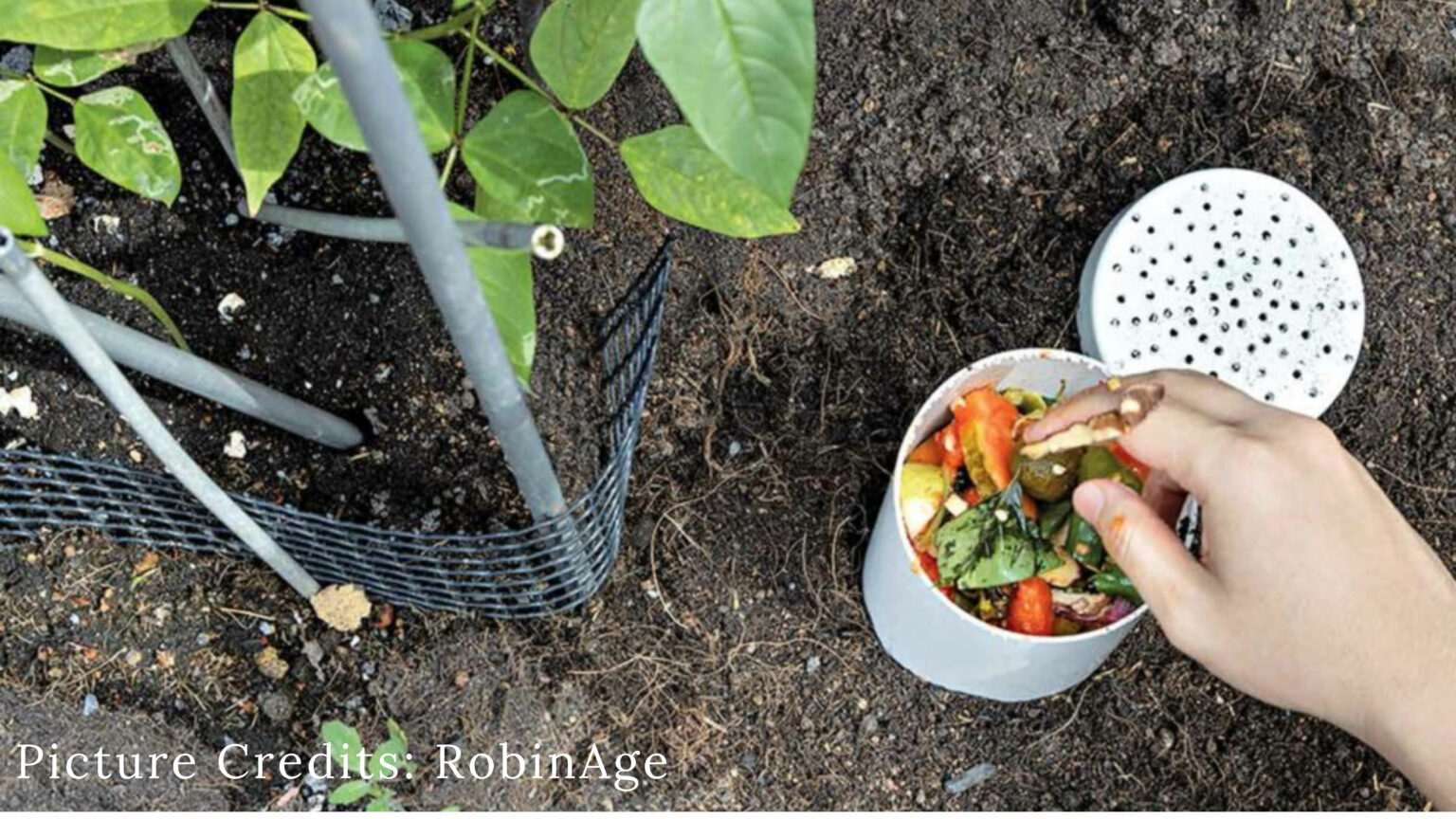 Types of Composting: Aerobic and Anaerobic - Green Connect